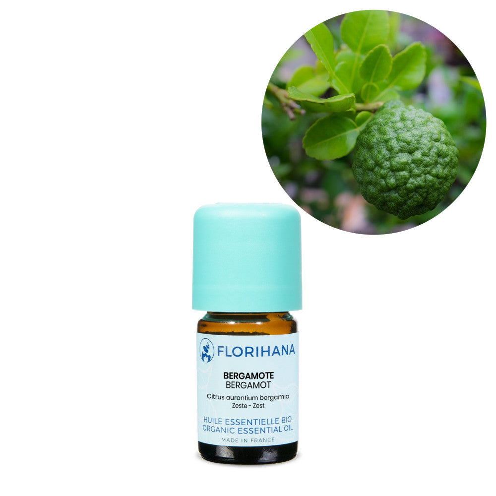 Essential Oils Imported from France - Shipped from USA – Healthy Traditions