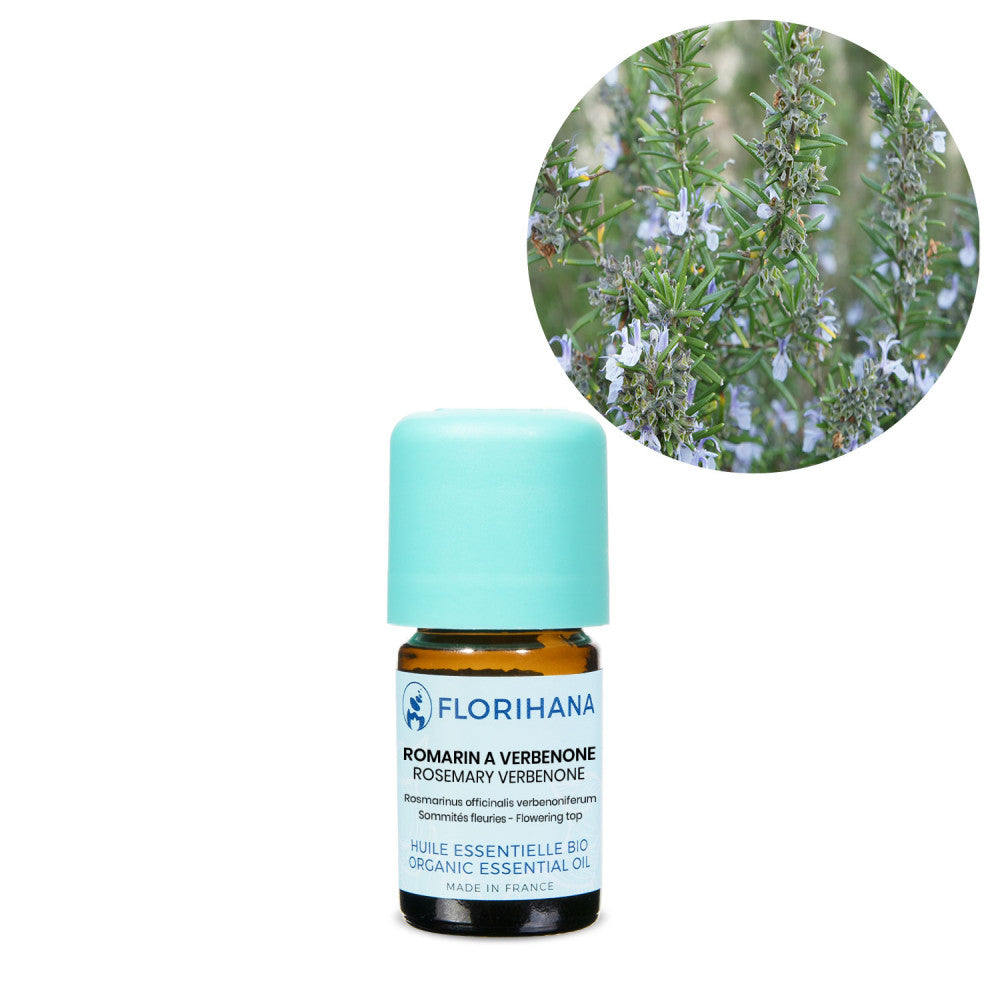Rosemary Verbenone Essential Oil - 5g – Healthy Traditions